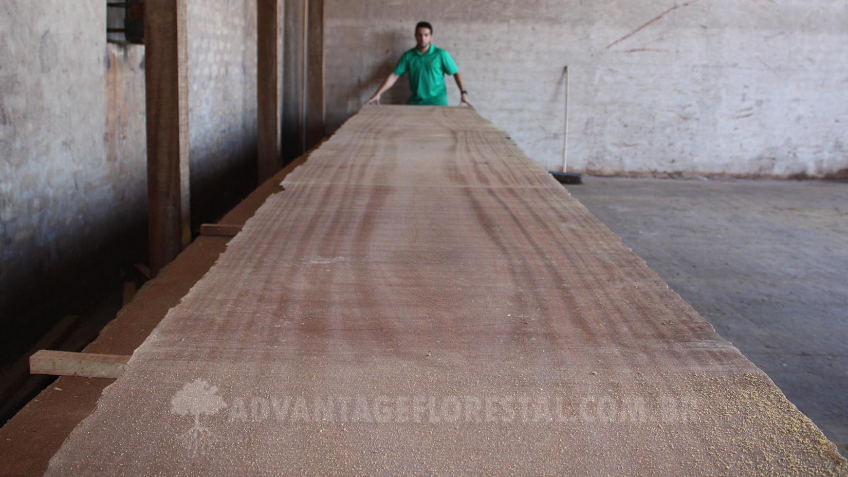 Angelim - Pedra wood slabs - FSC® Certified is also available