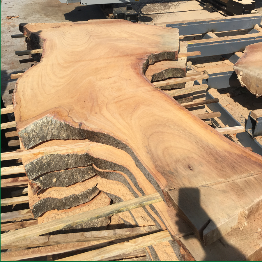 Cuban Laurel wood slabs - FSC® Certified is also available